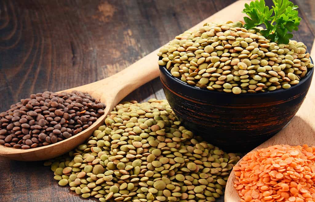 Lentils: The tiny legumes packed with big health benefits - Biskinik