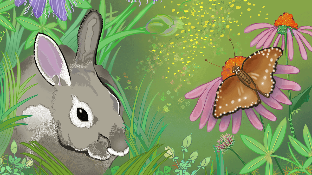 CCC prints children's magazine for members - Biskinik