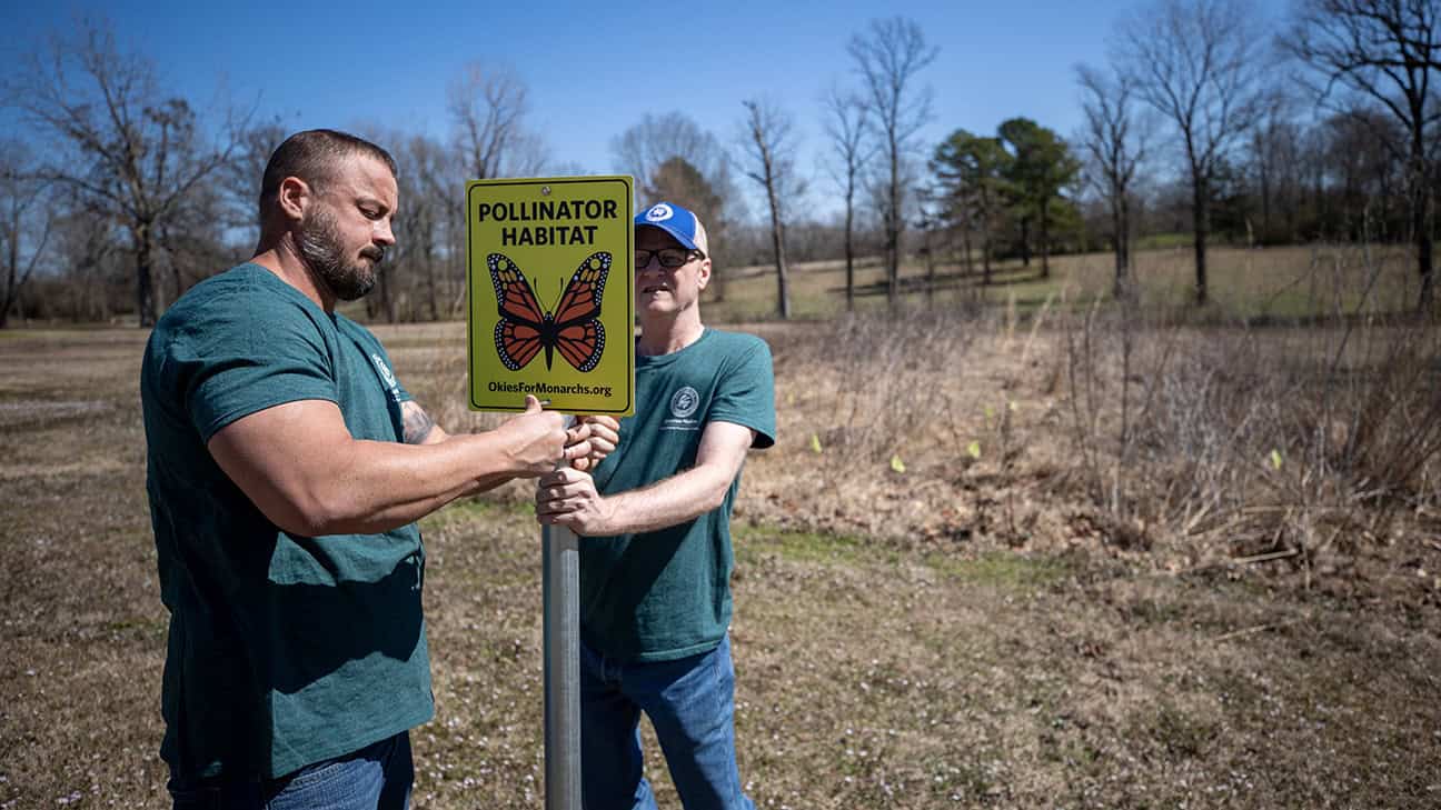 Choctaw Nation protects vital ecosystem through pollinator gardens and ...
