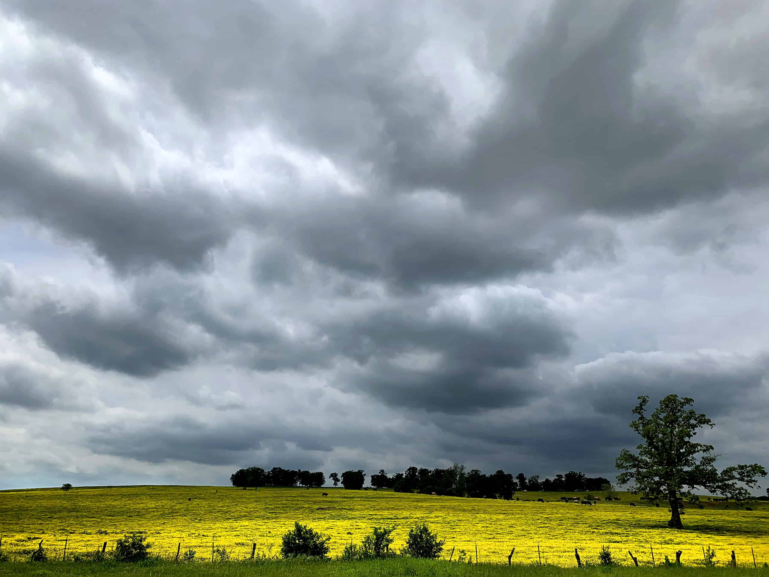 Stay alert, stay safe during the spring storm season - Biskinik